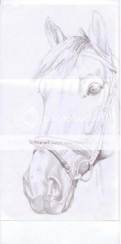 [TEK] shadow in stapjes • Bokt.nl