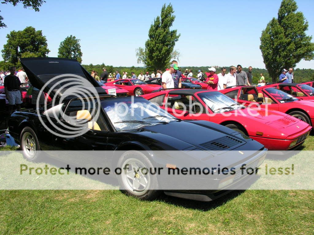 anyone know this 328? | FerrariChat