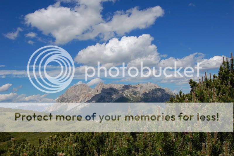 Escursione ai Cornacci e al Dosso dei Branchi (Val di Fiemme)