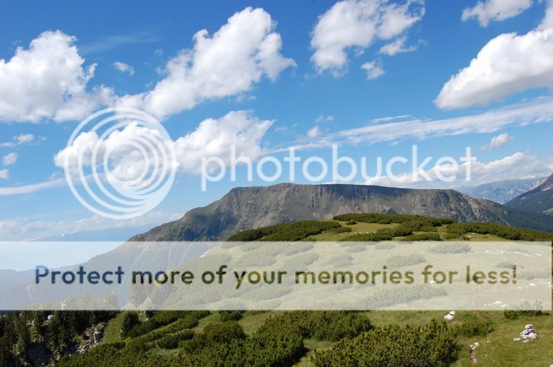 Escursione ai Cornacci e al Dosso dei Branchi (Val di Fiemme)