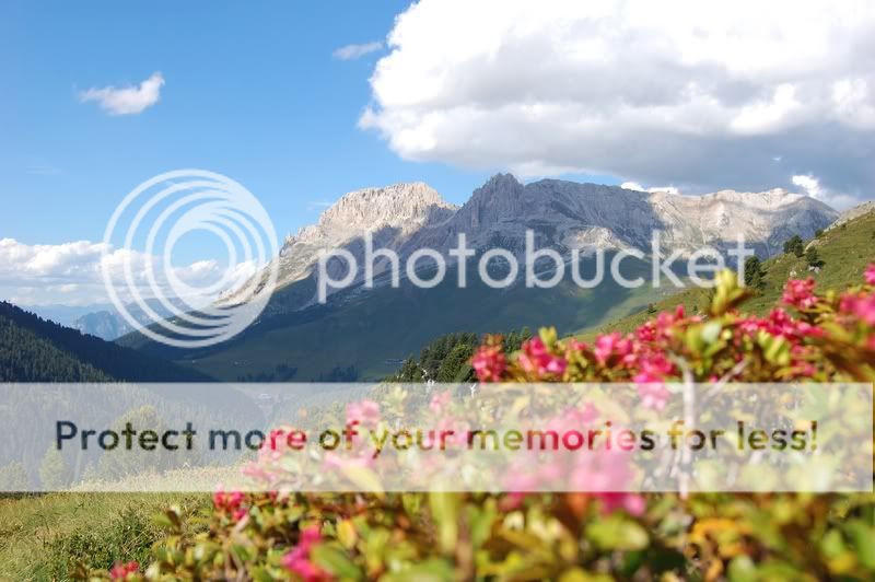 Escursione ai Cornacci e al Dosso dei Branchi (Val di Fiemme)
