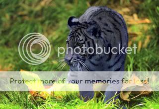 301 Moved Permanently