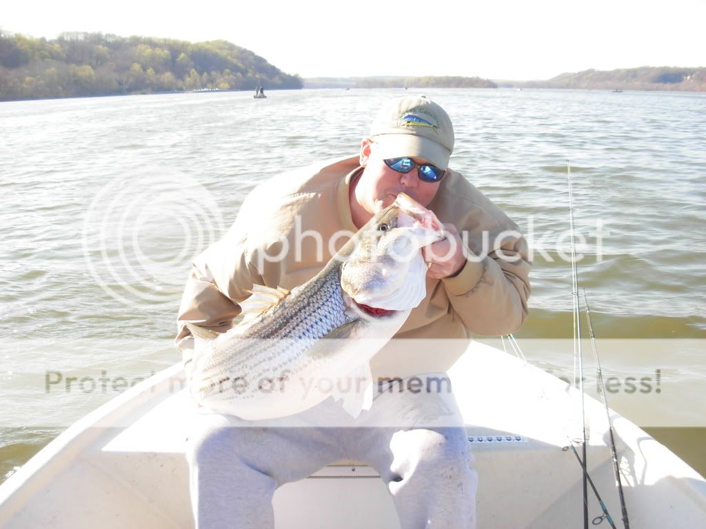 4/15 Susky Report | Tidal Fish Forum