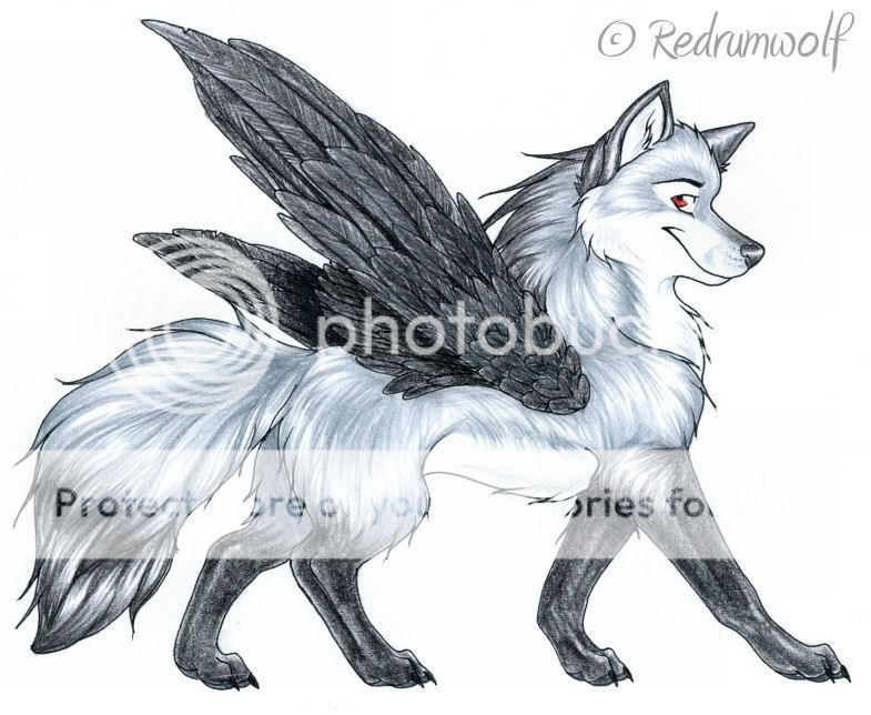 View topic - ~Howls in the sky~ .:A winged wolf roleplay, accepting ...