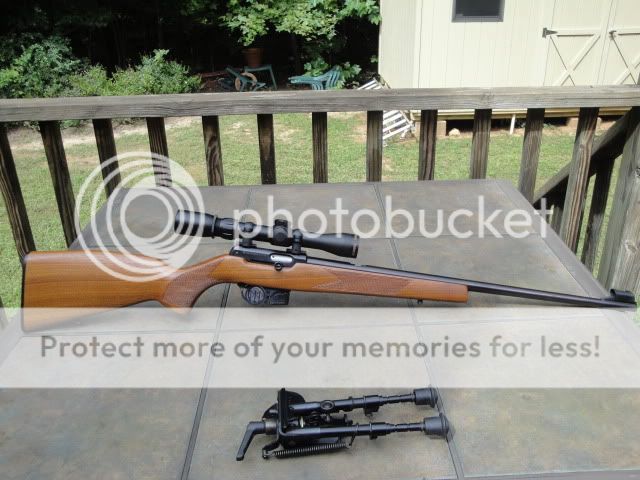 Cz 511 | Rimfire Central Firearm Forum