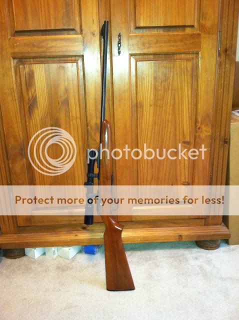 Remington 511x | Rimfire Central Firearm Forum