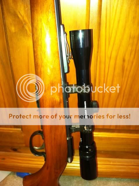 Remington 511x | Rimfire Central Firearm Forum