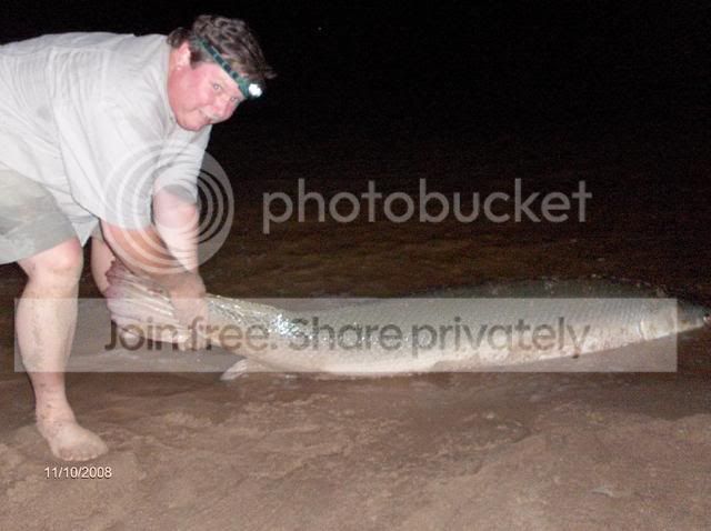 Alligator Gar under attack | 2 Cool Fishing Forum