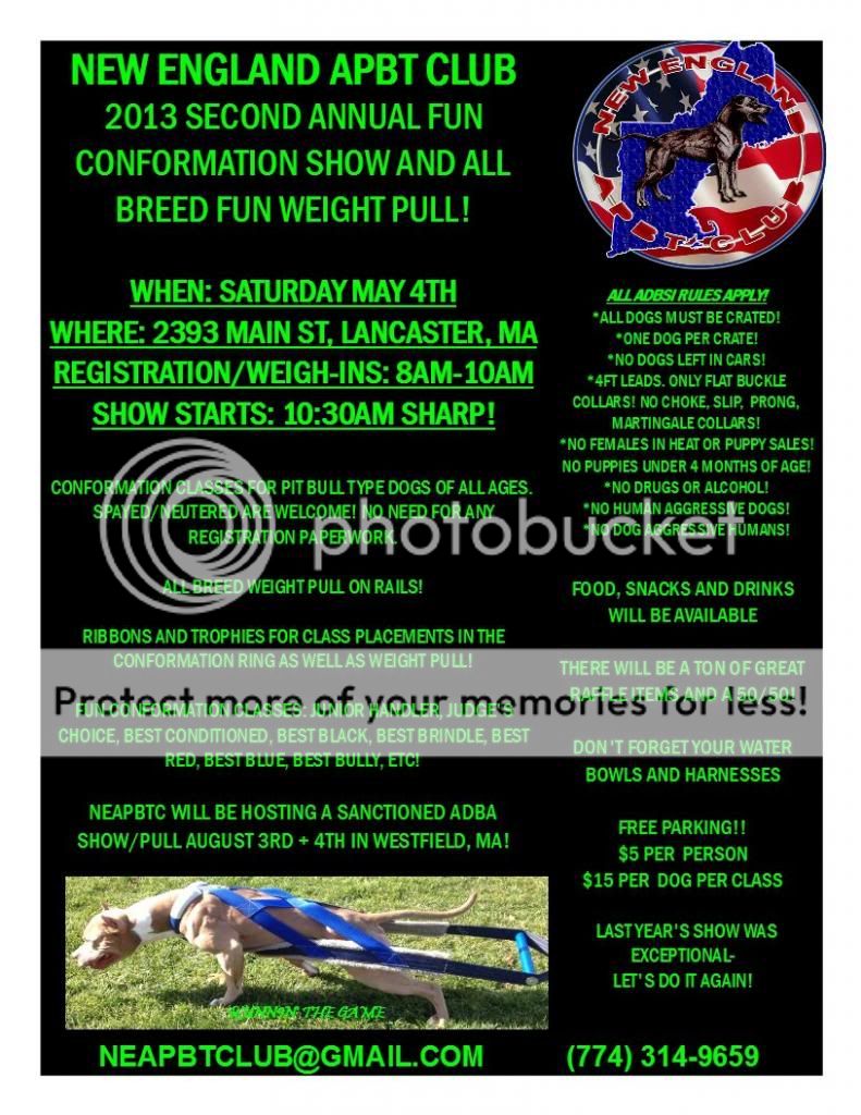 2nd Annual New England APBT Club show May 4, 2013 | Go Pitbull Forums